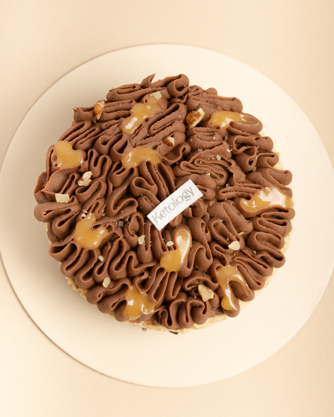 Pastel Tortuga – Ketology Mx